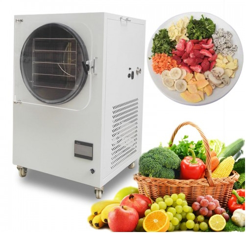 Key Points for Selecting a Home Freeze Dryer - Changzhou Shensheng ...