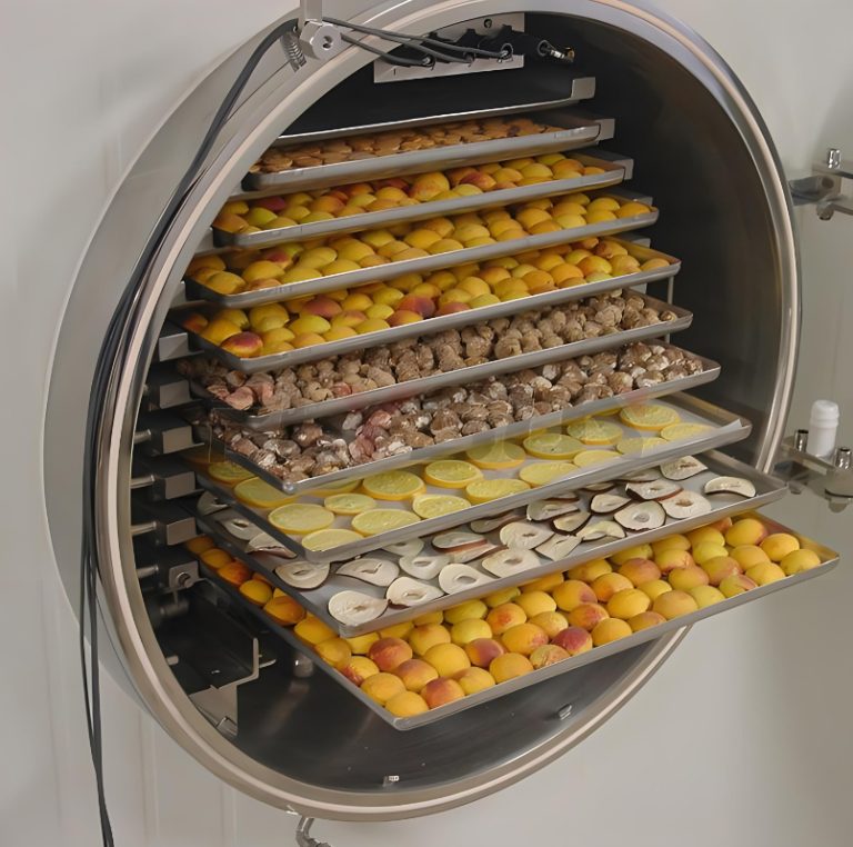 Freeze Drying Food: Unlocking Longevity and Quality - Changzhou ...